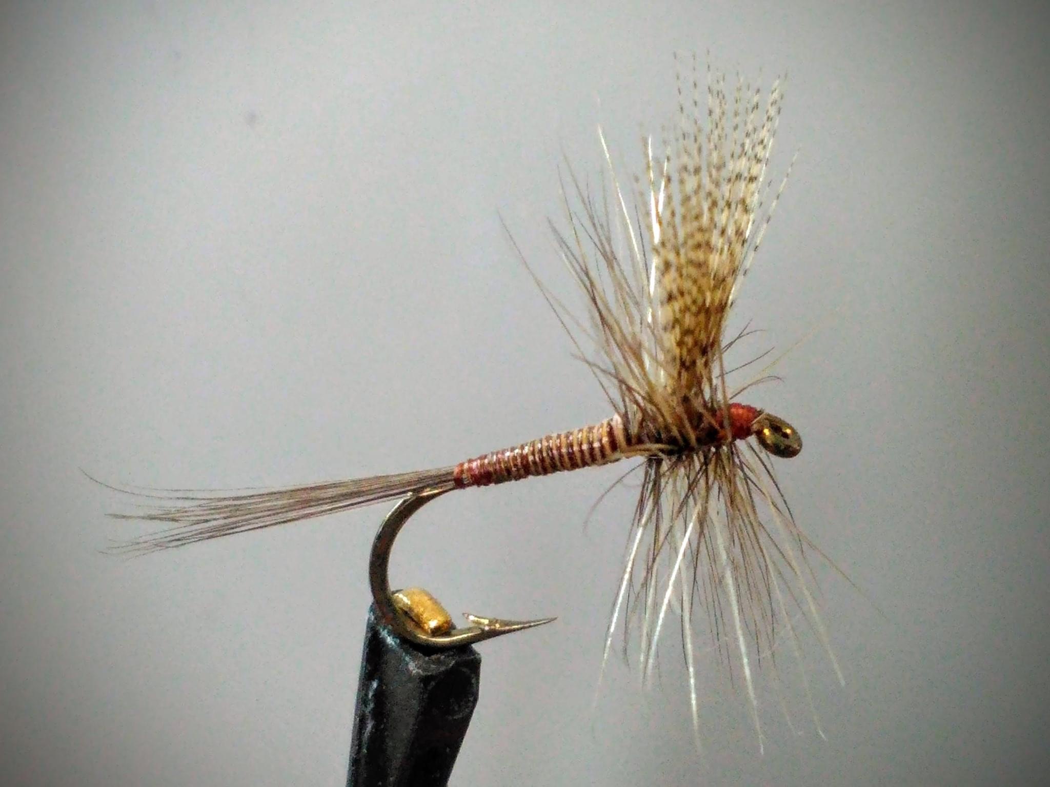 Male Hendrickson Red Quill by Dave Brandt